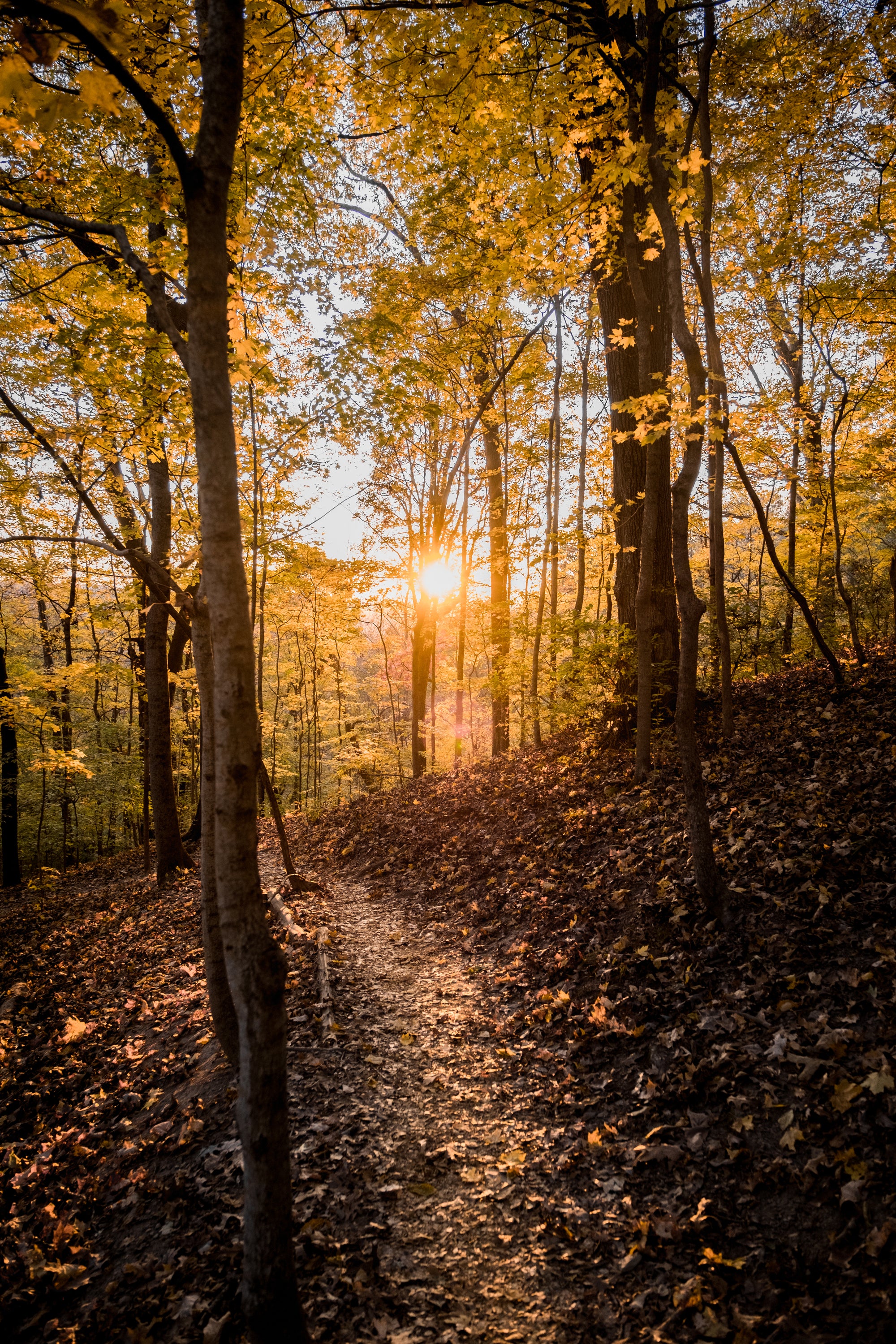Discover Crowthorne – A Place to Call Home – Berkshire County & Co